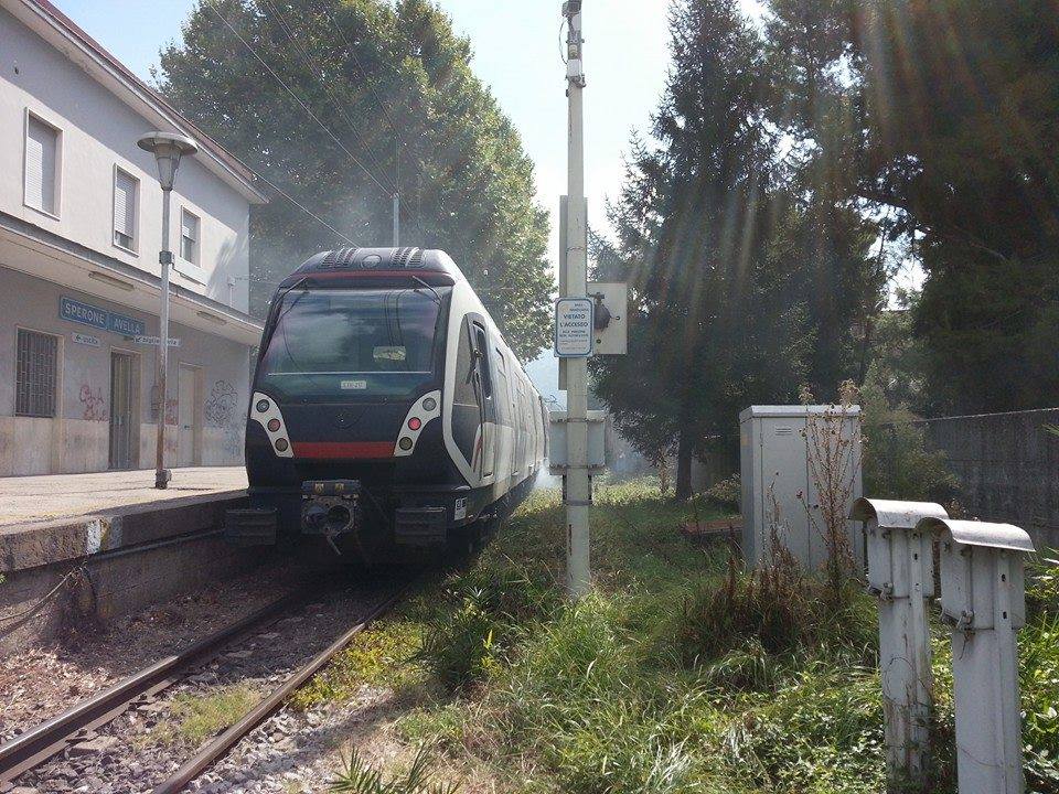 AVELLA-SPERONE.Cane pestato e gettato sui binari ritrovato agonizzante ...