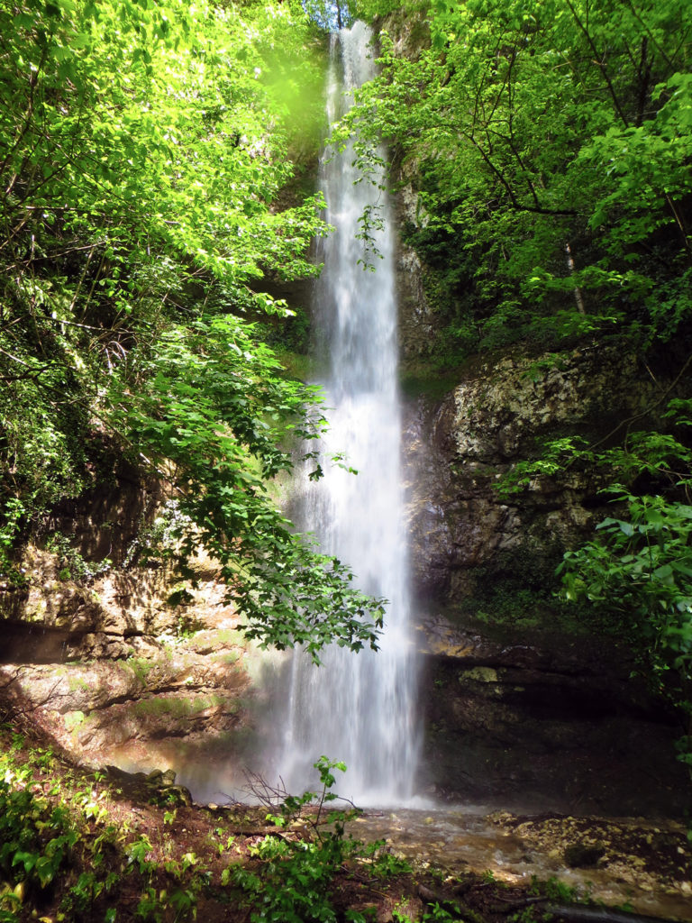 Mugnano del Cardinale. Per conoscere il Parco del Partenio, Tour nelle ...