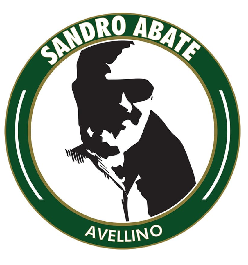 FUTSAL. Ecco il nuovo logo della Sandro Abate, spunta anche il nome di ...